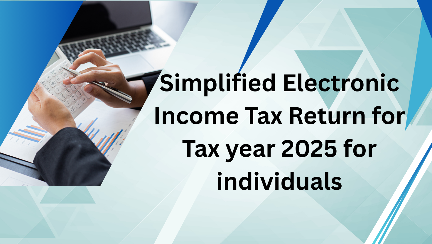 Simplified electronic Income Tax Return for tax year 2025 for ...